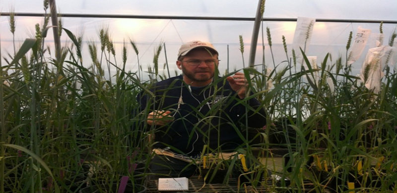 Winter Wheat Crossing Block at Lafayette, Indiana | Limagrain Cereal Seeds