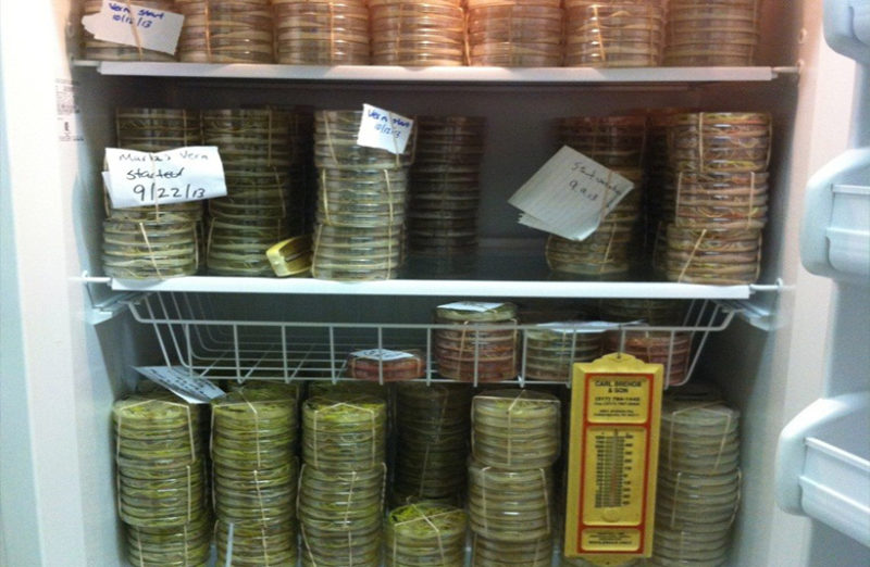 Winter Wheat Crossing Block at Lafayette, Indiana | Limagrain Cereal Seeds