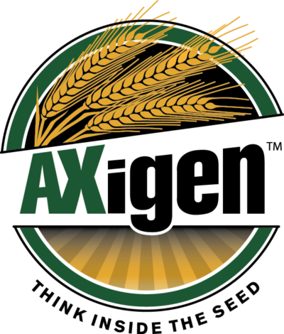 LCS Steel AX | Limagrain Cereal Seeds