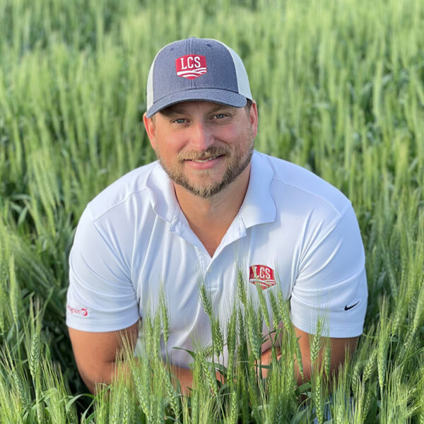 Hard red spring wheat seed