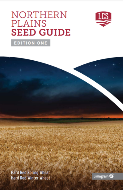 Hard red spring wheat seed