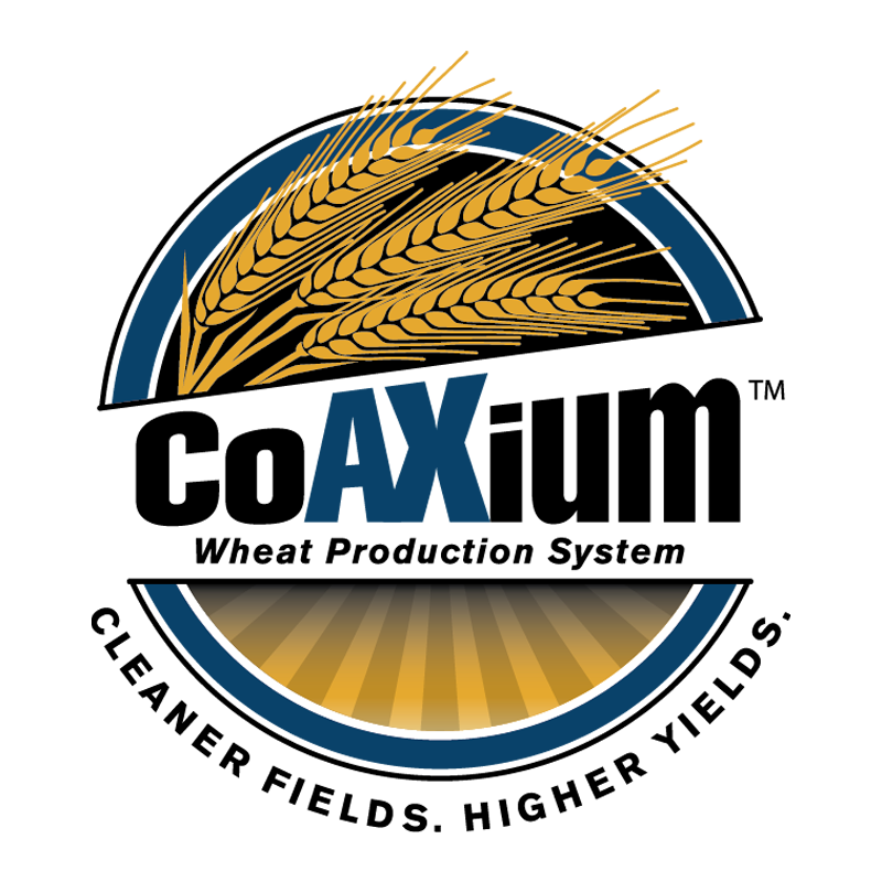 LCS Cowie AX | Limagrain Cereal Seeds