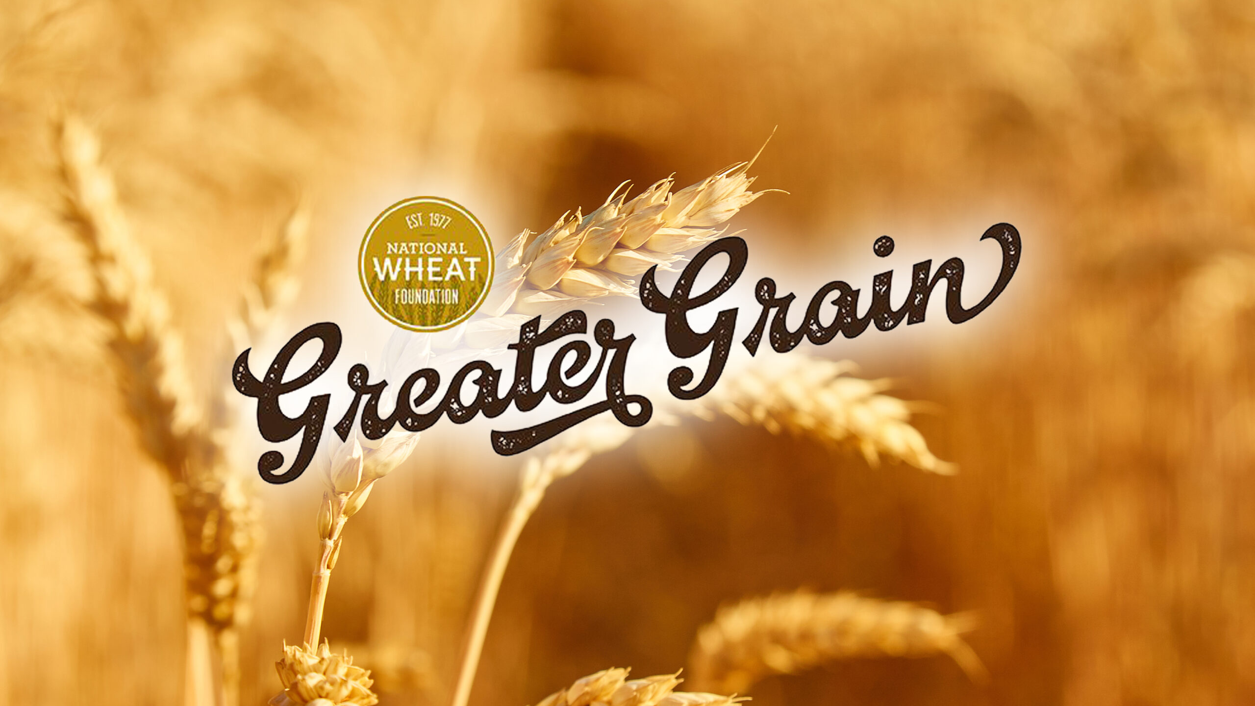 Limagrain Cereal Seeds 2025 National Wheat Yield Contest Winners ...